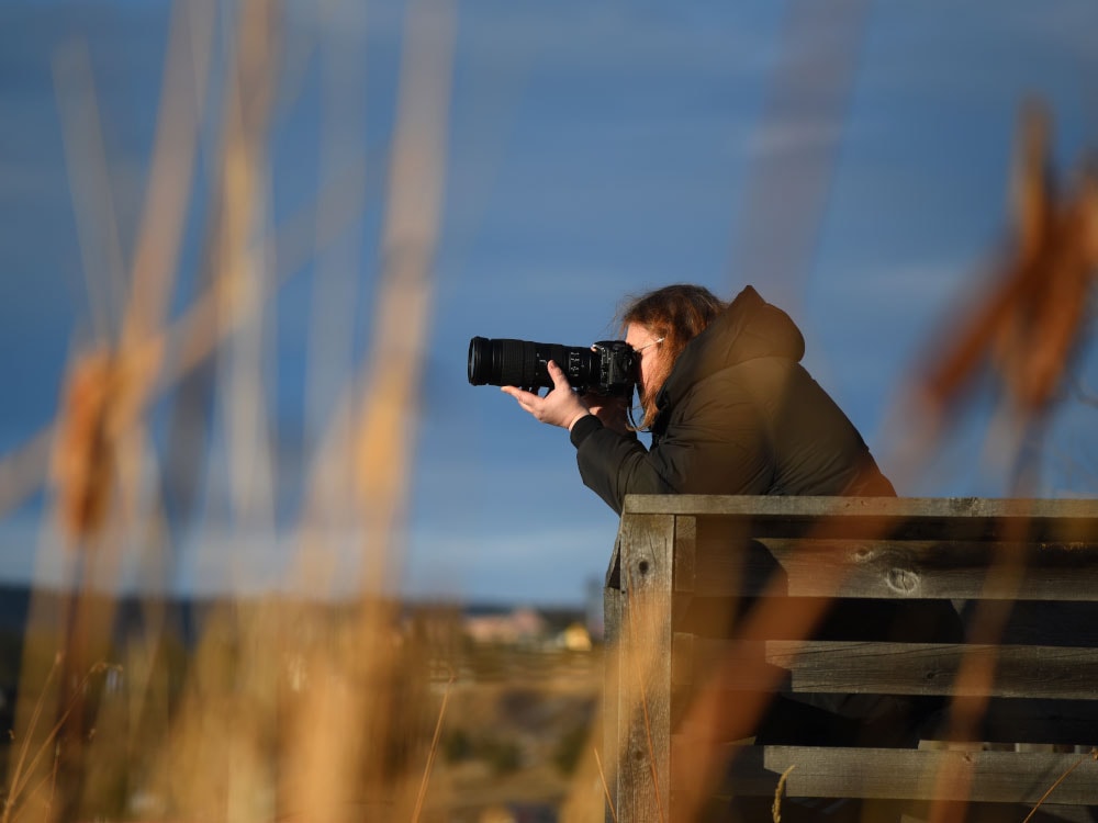 Home - Climate Disaster Project